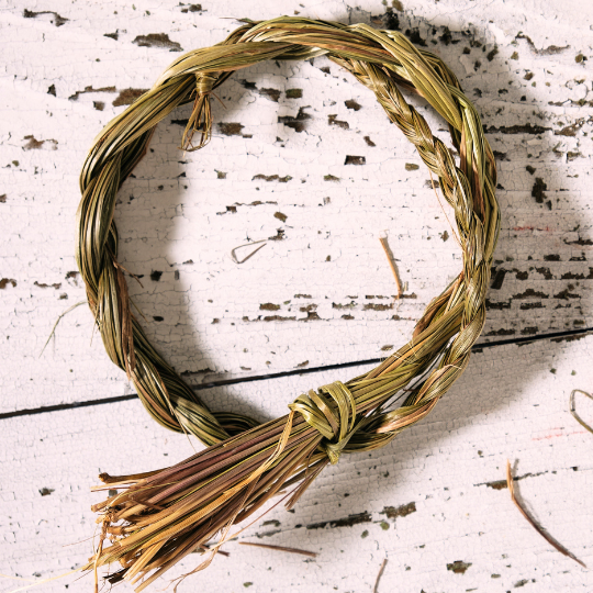 Sweetgrass (Hierochloe odorata) | Terre promise