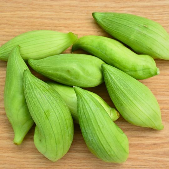 Achocha cucumber (Cyclanthera pedata) | Terre promise