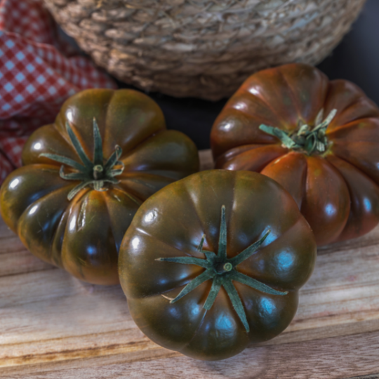 Black Ruffle Tomato (Solanum lycopersicum) | Terre promise